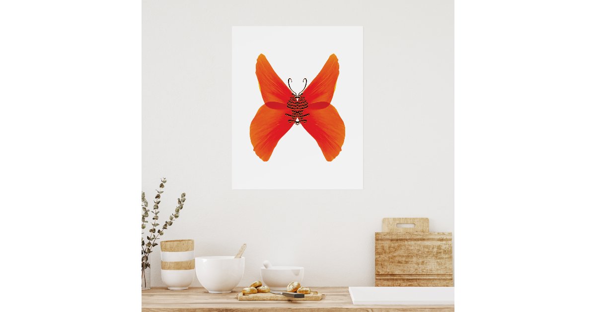 Orange Red Poppy Butterfly with Your Name Poster | Zazzle