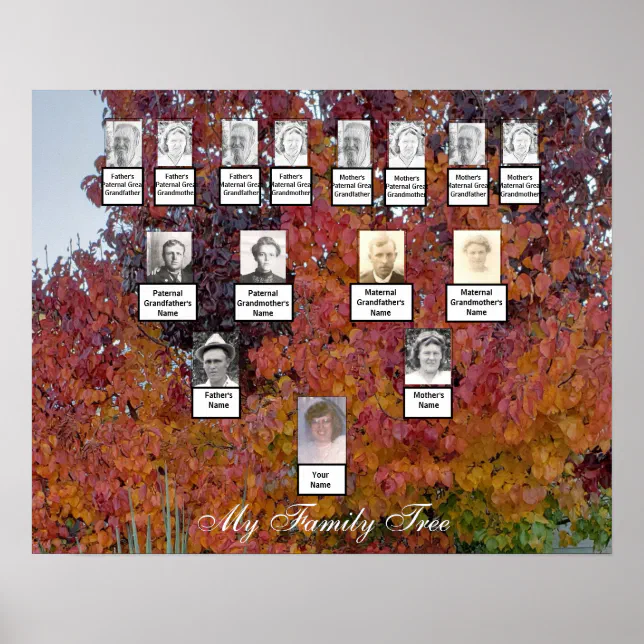 Orange, Red, Purple Leaf Autumn Family Tree Poster | Zazzle