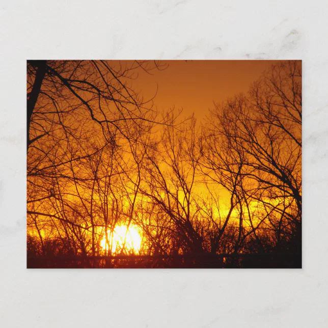 ORANGE SUNSET POSTCARD | Zazzle