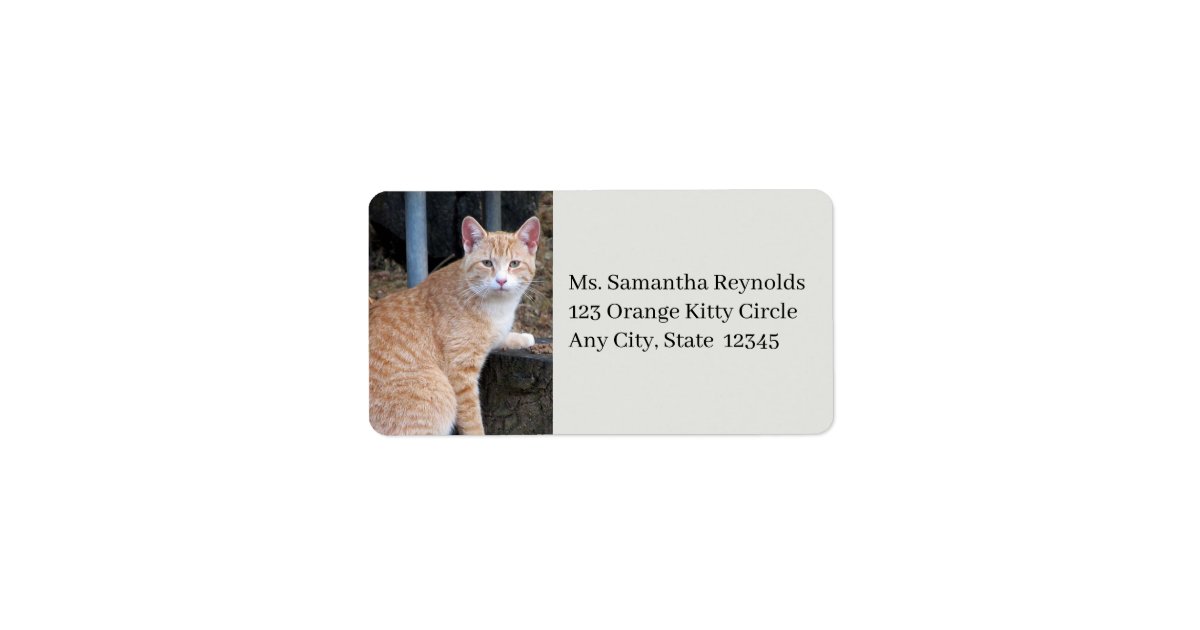 Orange Tabby Cat Address Labels | Zazzle