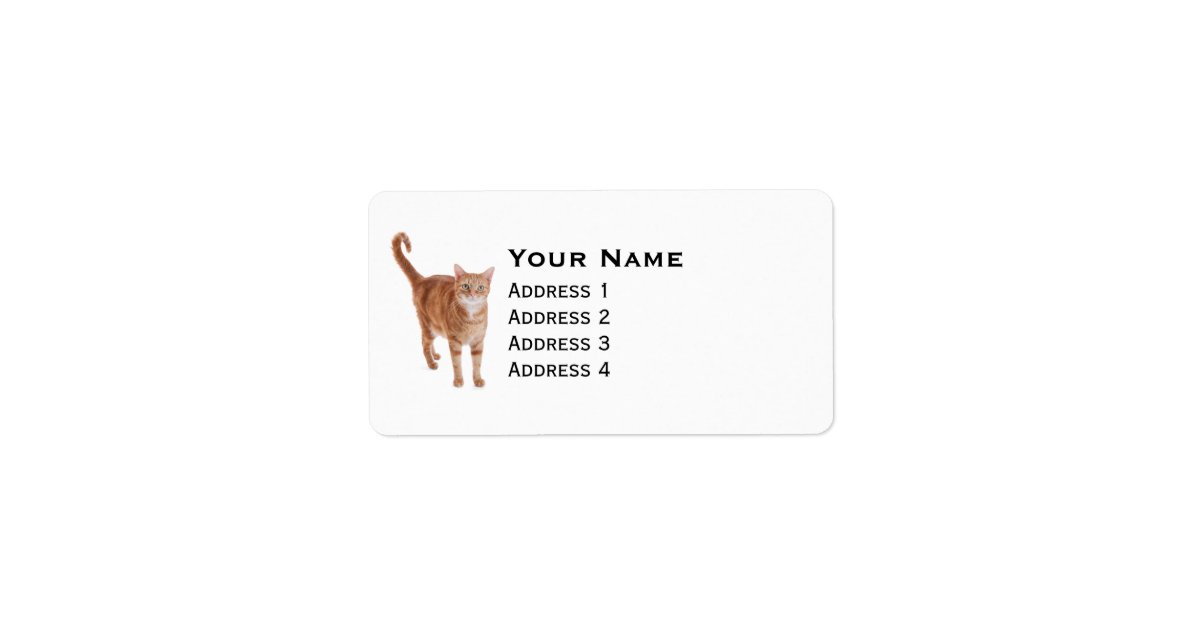 Orange Tabby Cat Label | Zazzle