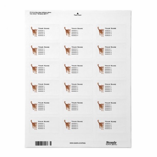 Orange Tabby Cat Label | Zazzle