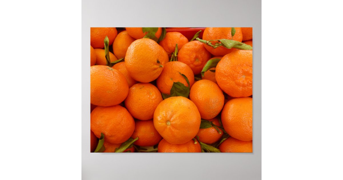 ORANGE TANGERINES PHOTOGRAPHY FRUIT FOOD WALLPAPER POSTER | Zazzle
