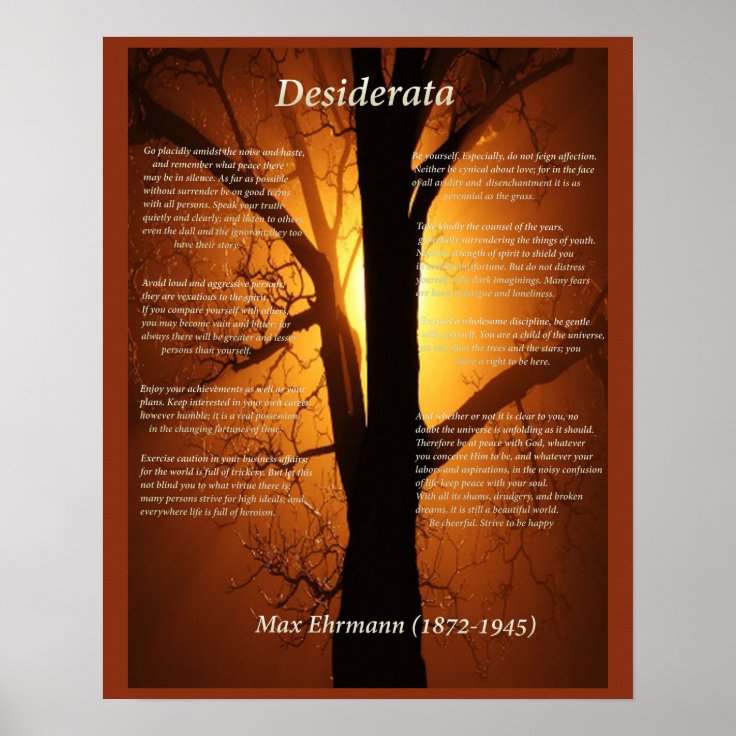 Orange Tree Poster | Zazzle