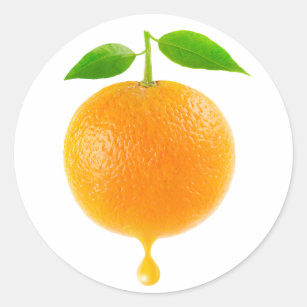 Orange Fruit Stickers | Zazzle