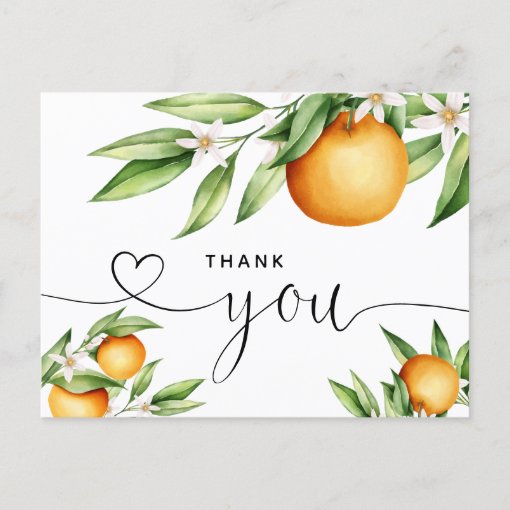 Oranges Branch Hand Lettered Thank You Postcard | Zazzle