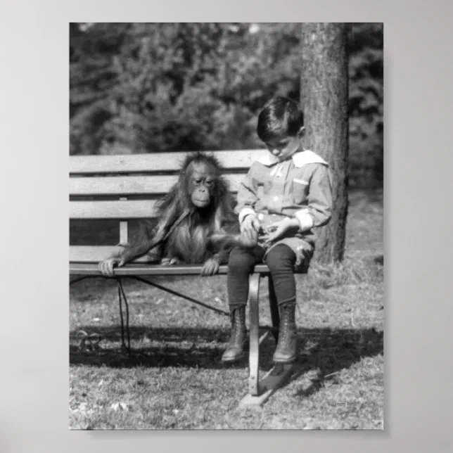 Orangutan and Boy - National Zoo Poster | Zazzle