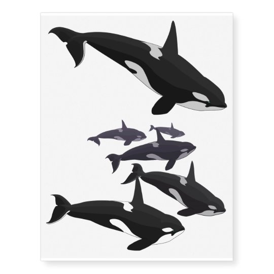 Orca Art Temporary Tattoo Killer Whale Skin Art | Zazzle.com