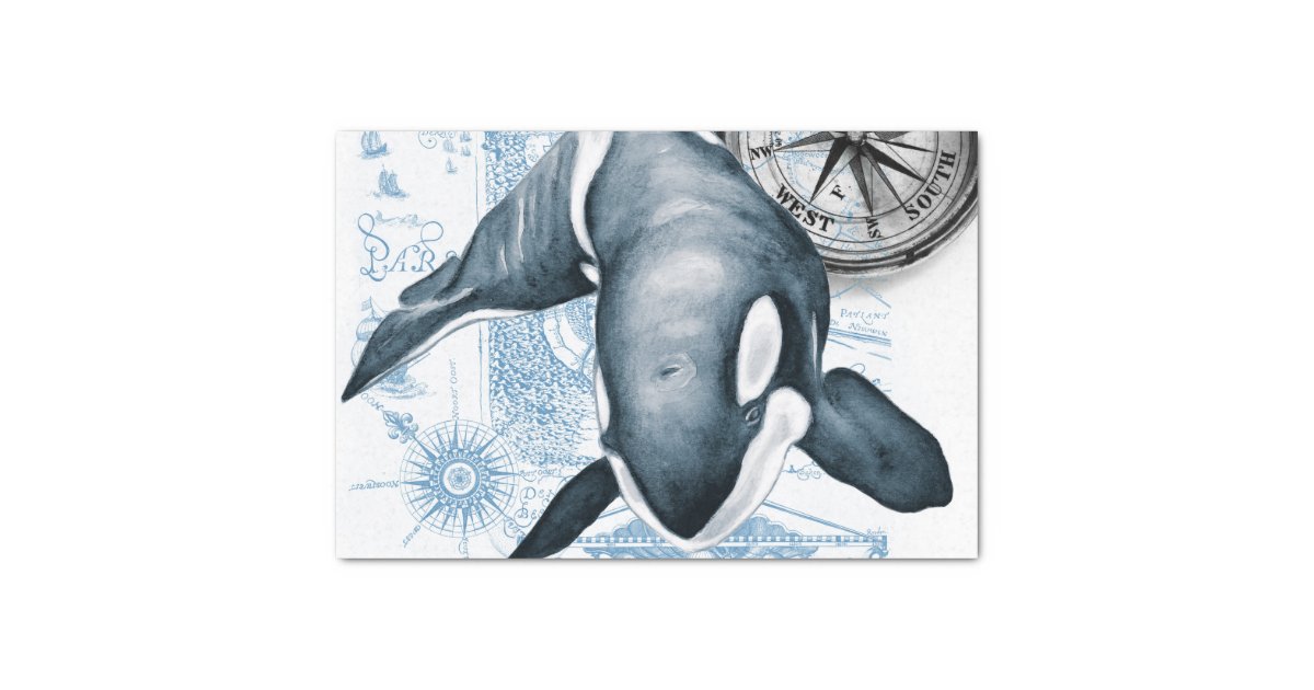 Orca Blue Compass Vintage Map Tissue Paper | Zazzle
