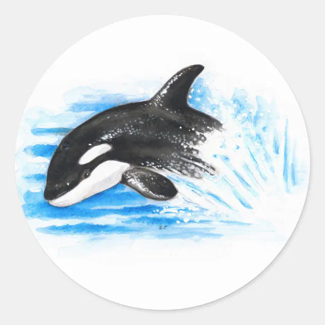 Orca Breaching Classic Round Sticker | Zazzle