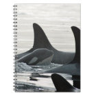 Orca Notebook | Zazzle.com