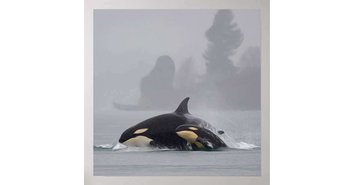 Orca Family Poster | Zazzle