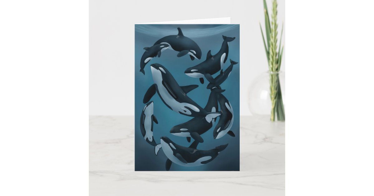 Orca Greeting Card | Zazzle