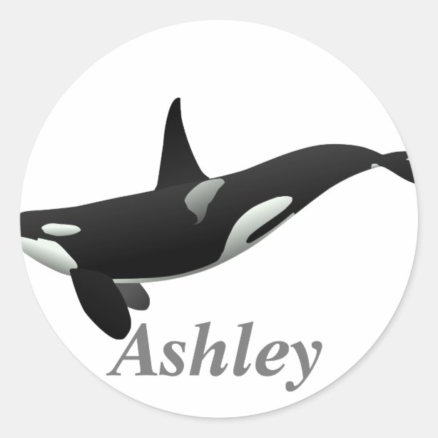Orca Stickers - 100% Satisfaction Guaranteed | Zazzle