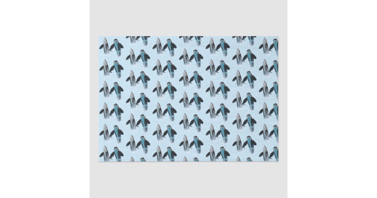 Orca / Killer Whale Tissue Paper | Zazzle