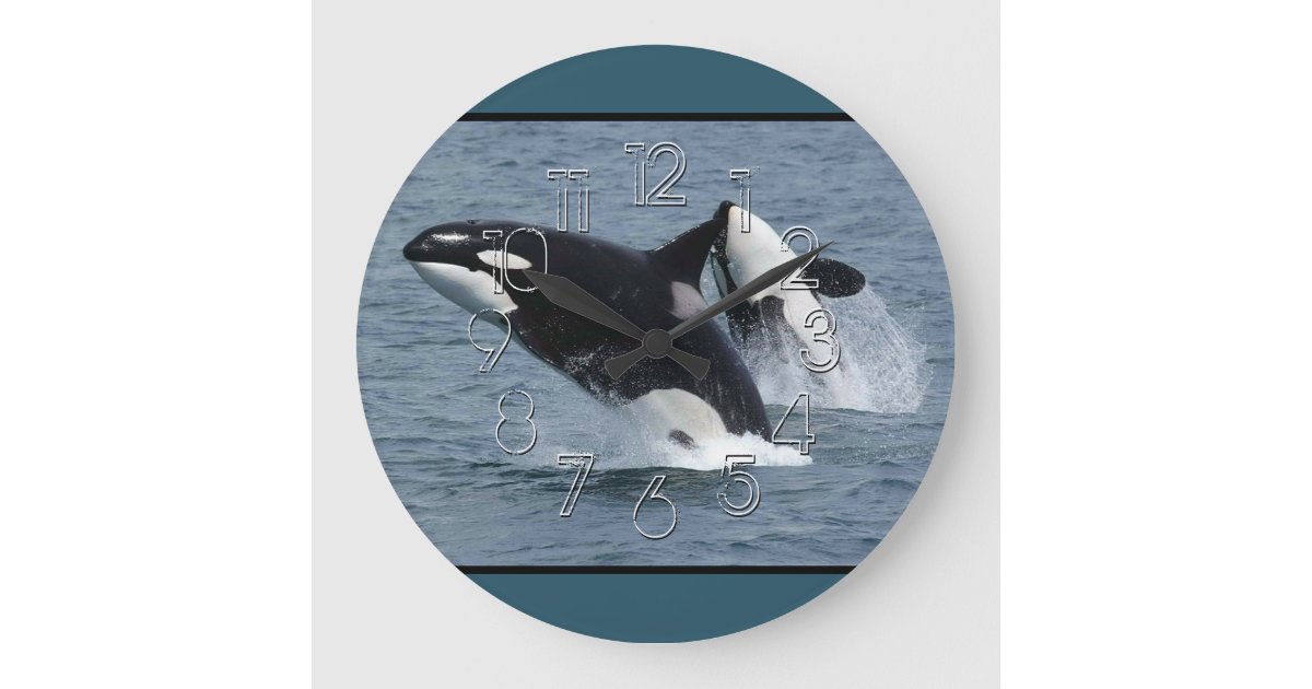 Orca Killer Whales Breaching Large Clock | Zazzle