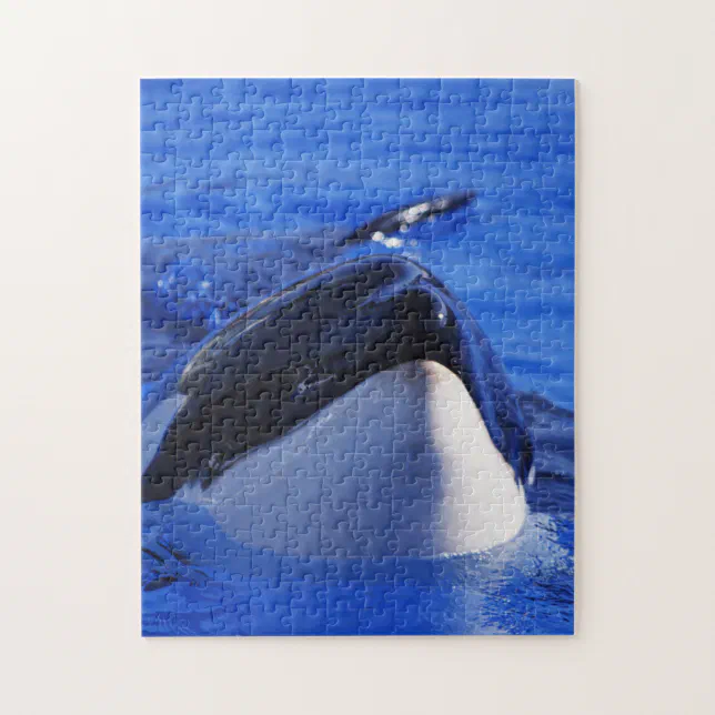 Orca Killr Whale Jigsaw Puzzle | Zazzle