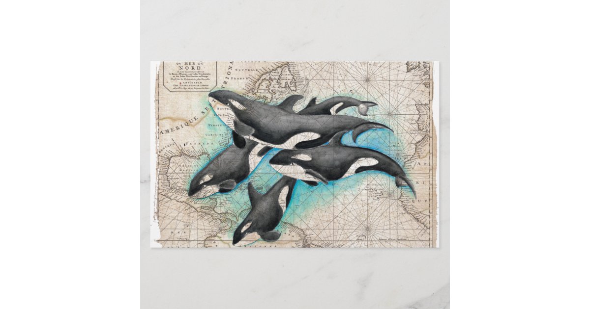 Orca Map Atlas Stationery | Zazzle