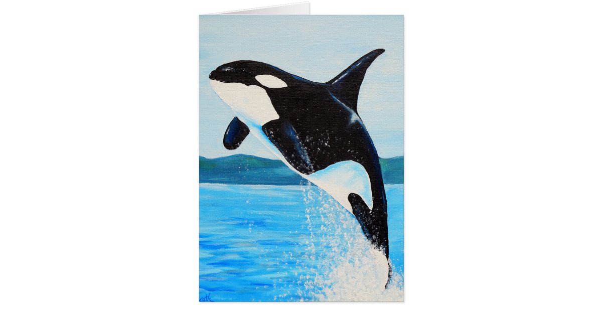 Orca Painting Greeting Card | Zazzle