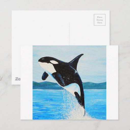 Orca Painting Postcard | Zazzle