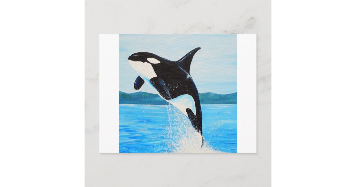 Orca Painting Postcard | Zazzle