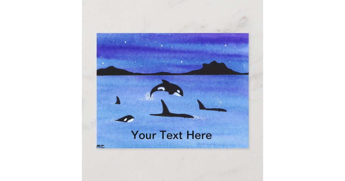 Orca Postcard | Zazzle