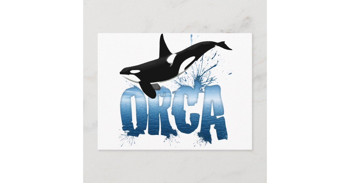 Orca Postcard | Zazzle