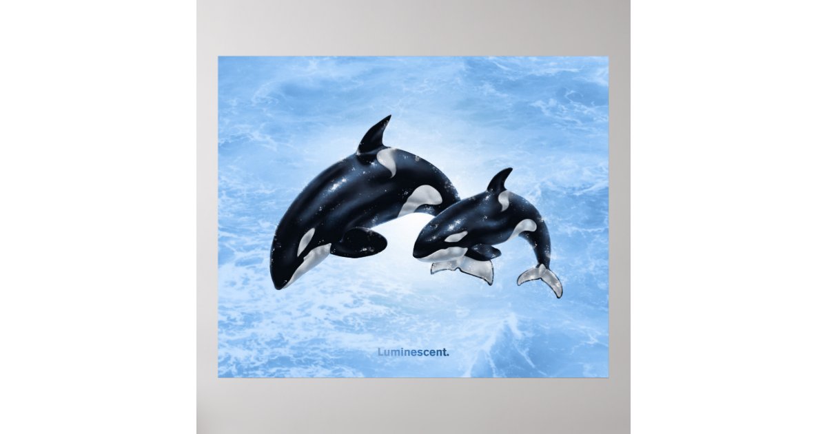 Orca - Poster | Zazzle