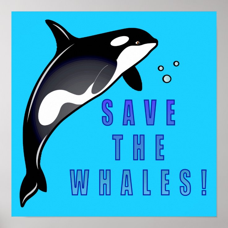 Orca: Save the Whales! Poster | Zazzle