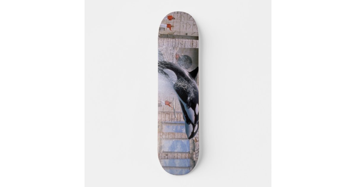 Orca Skateboard Deck | Zazzle