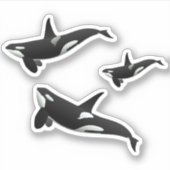Orca Sticker | Zazzle