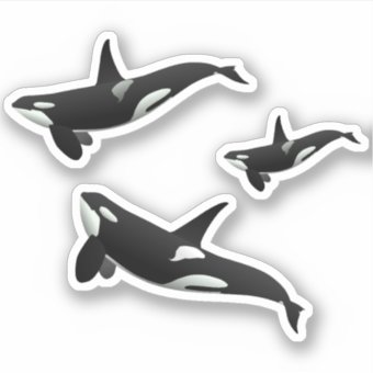 Orca Sticker | Zazzle