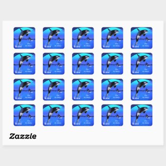 Orca Sticker | Zazzle