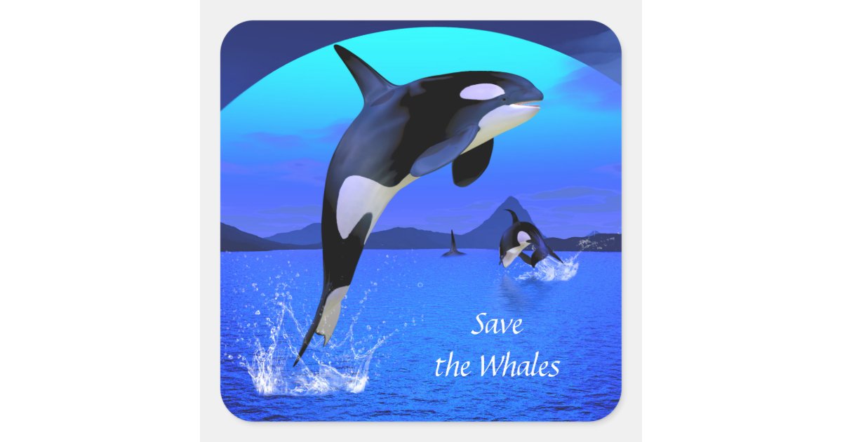 Orca Sticker | Zazzle
