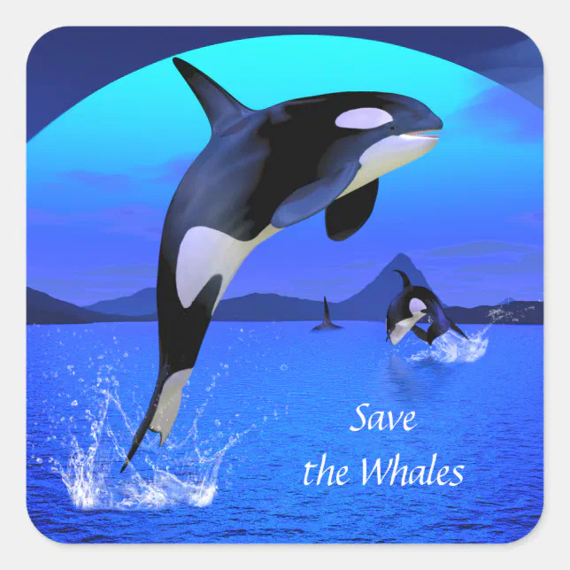 Orca Sticker | Zazzle