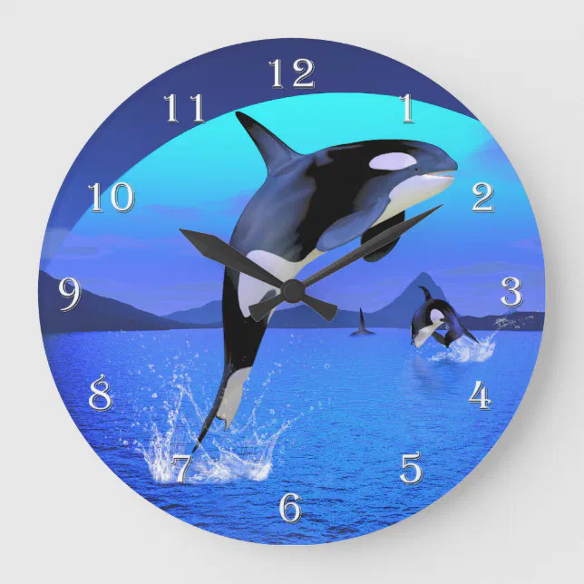 Orca Wall Clock | Zazzle