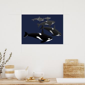 Orca Whale Art Poster Killer Whale Art Prints Gift | Zazzle