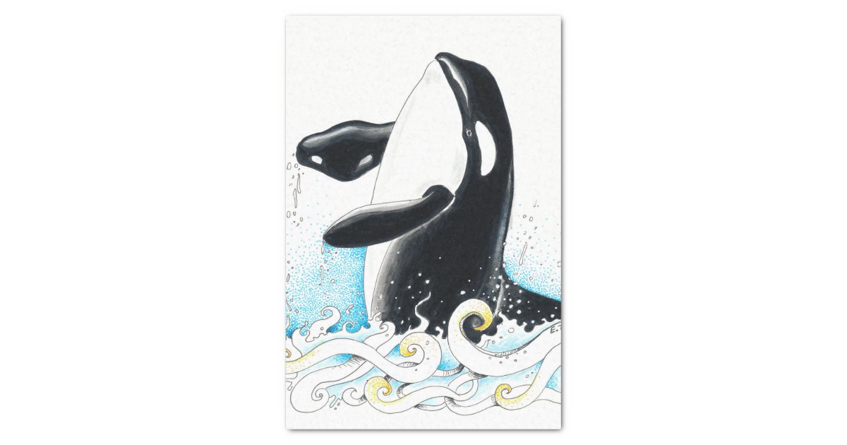 Orca whale breaching doodle ink tissue paper | Zazzle