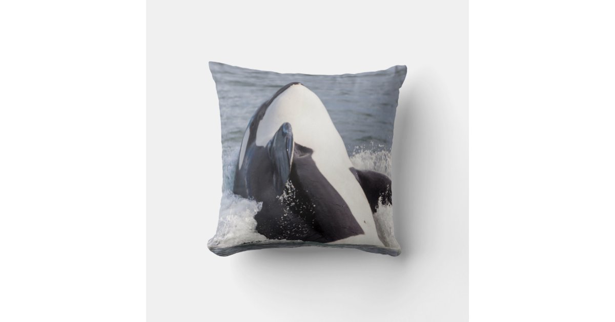 Orca whale breaching throw pillow | Zazzle