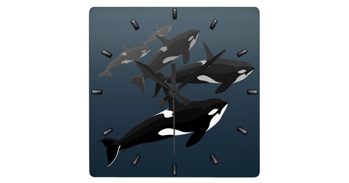 Orca Whale Clock Killer Whale Decor Whale Gifts | Zazzle.com