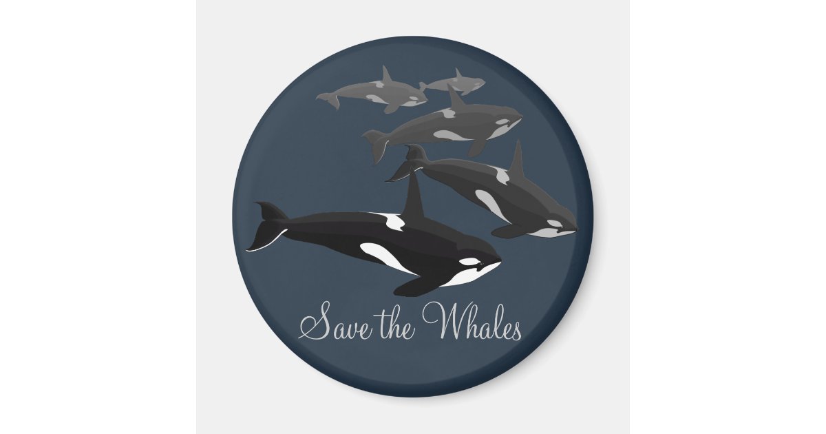 Orca Whale Fridge Magnet Killer Whale Art Magnets | Zazzle