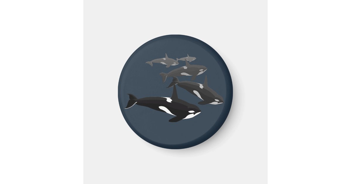 Orca Whale Fridge Magnet Killer Whale Art Magnets | Zazzle