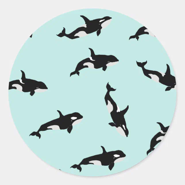 Orca Whale Illustration Pod Pattern Sea Baby Blue Classic Round Sticker ...