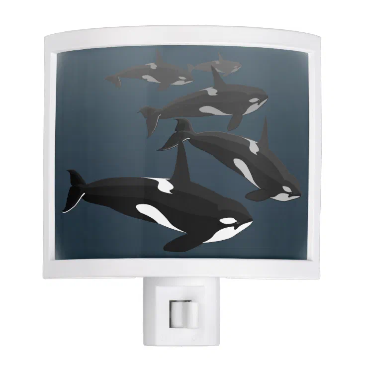 Orca Whale Nightlight Killer Whale Night Light | Zazzle
