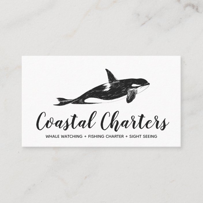 Orca Whale Sketch Business Card | Zazzle
