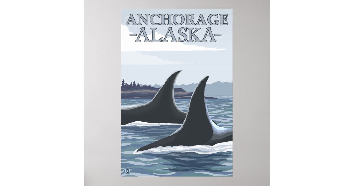 Orca Whales #1 - Anchorage, Alaska Poster | Zazzle