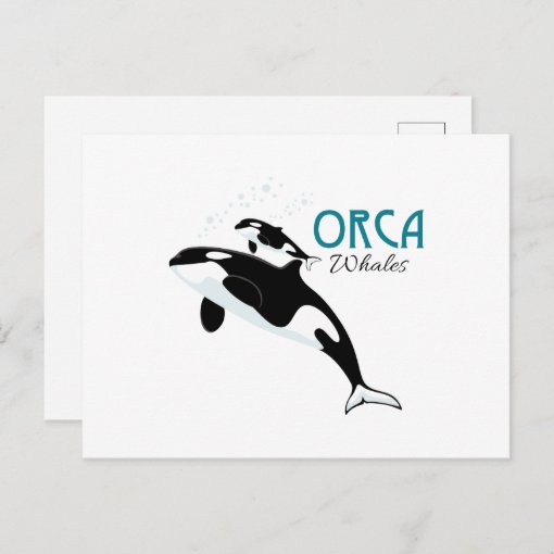 Orca Whales Postcard | Zazzle