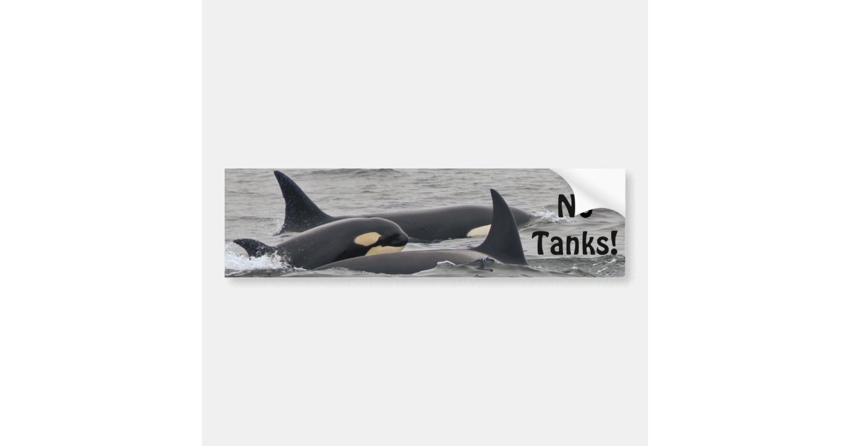 Orcas "No Tanks" Bumper Sticker | Zazzle