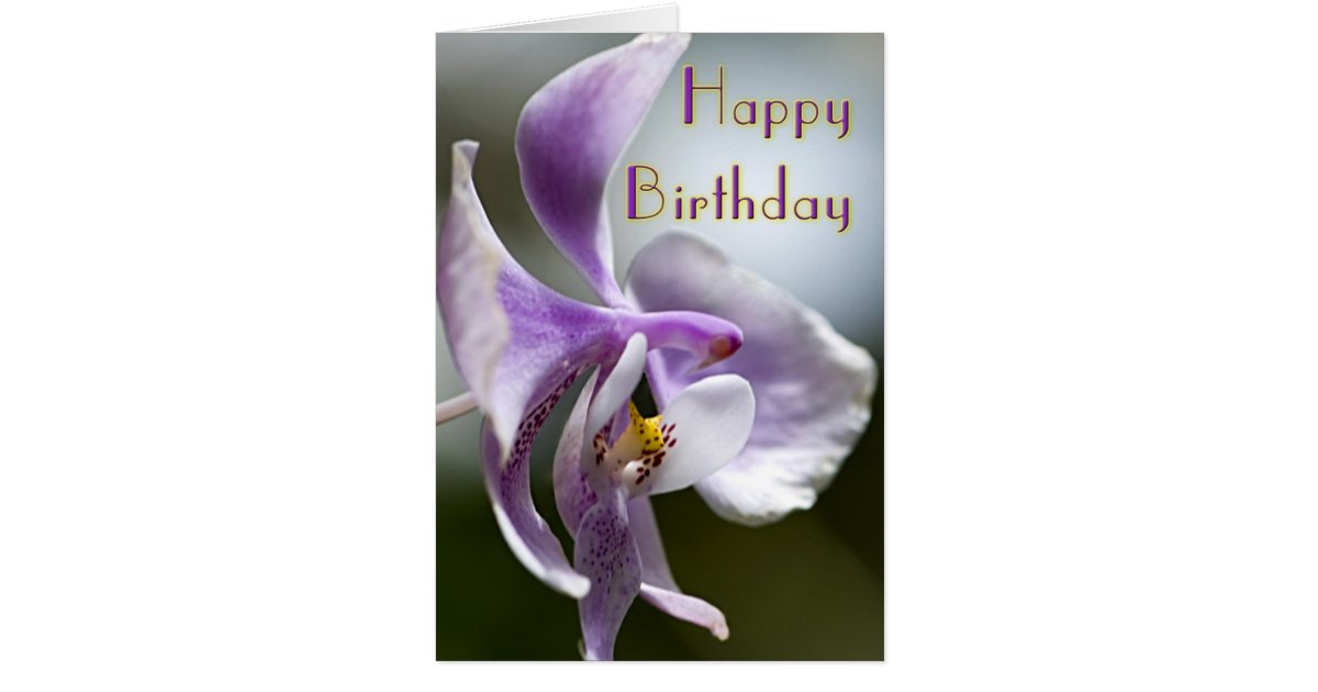 Orchid Birthday Card | Zazzle.com