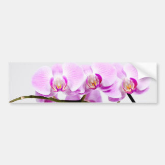 Orchid Stickers | Zazzle
